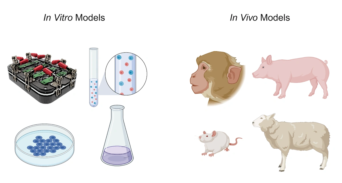 Understanding Preclinical Research at Neuralink | Updates | Neuralink