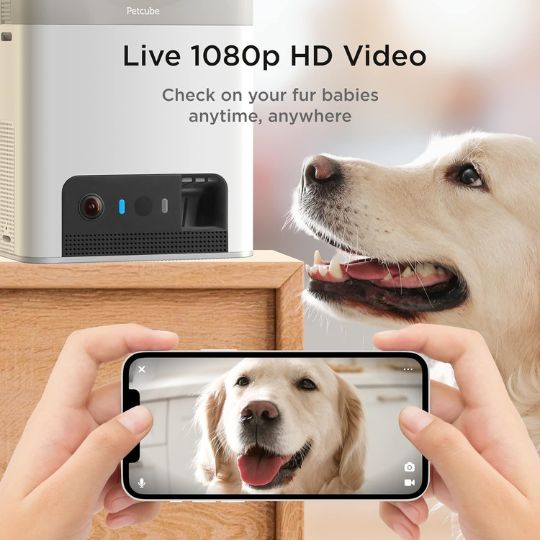 The Best High-Tech Gadgets For Dogs & Dog Lovers in 2024 - Pawrade.com