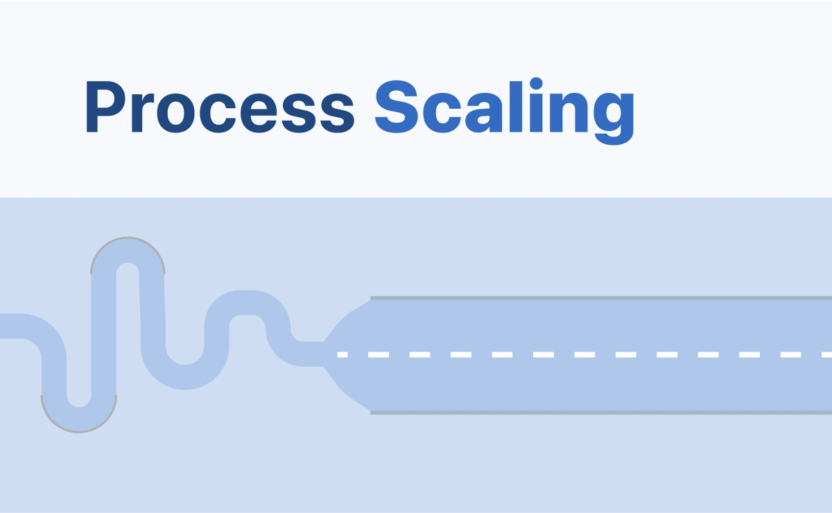 Process Scaling | RoleModel Software