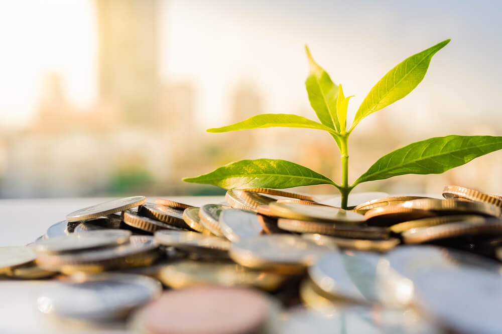9 Small Steps to Save the Environment and Your Money