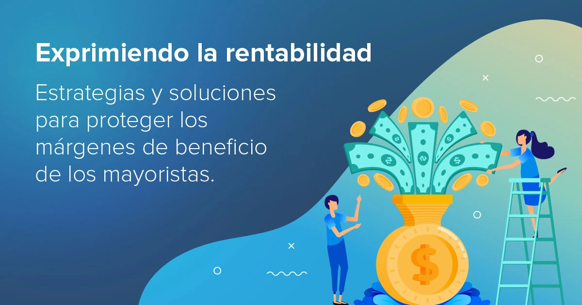 Exprimiendo la rentabilidad - Vistex, Inc.