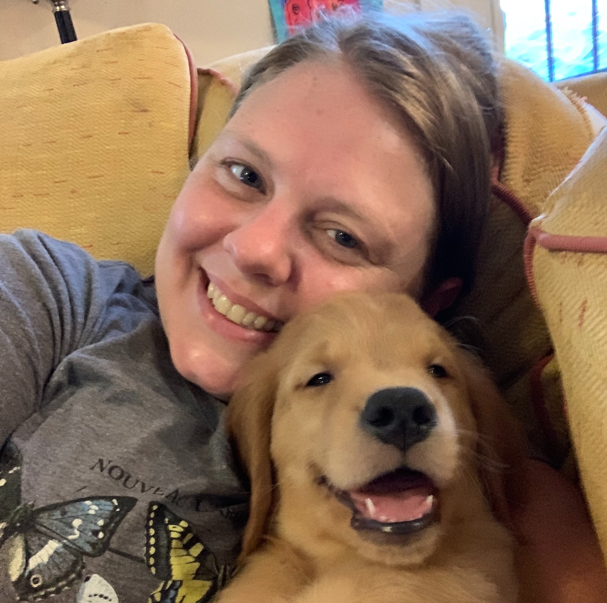 The Ultimate Guide to Dog Grooming at Home | Pawrade - Pawrade.com