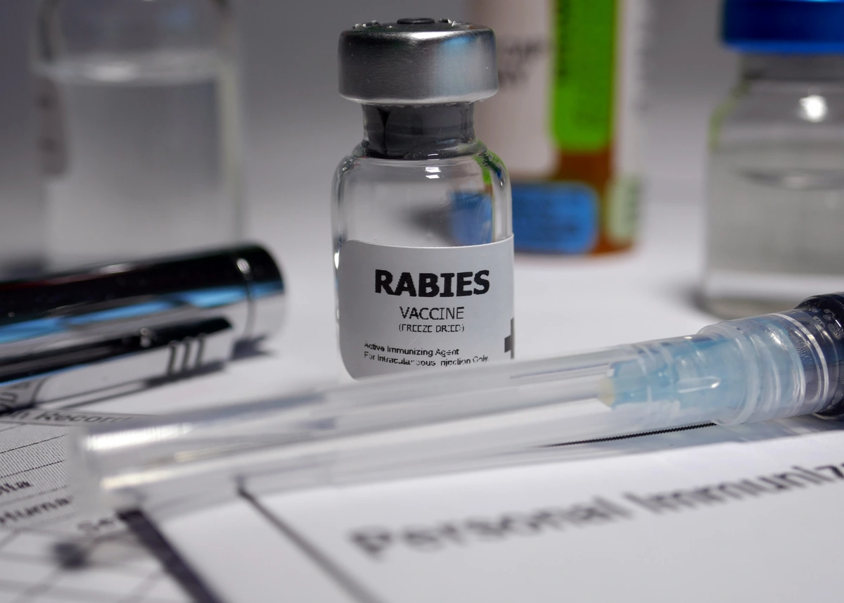 How to Protect Your Puppy Against Rabies - Pawrade.com