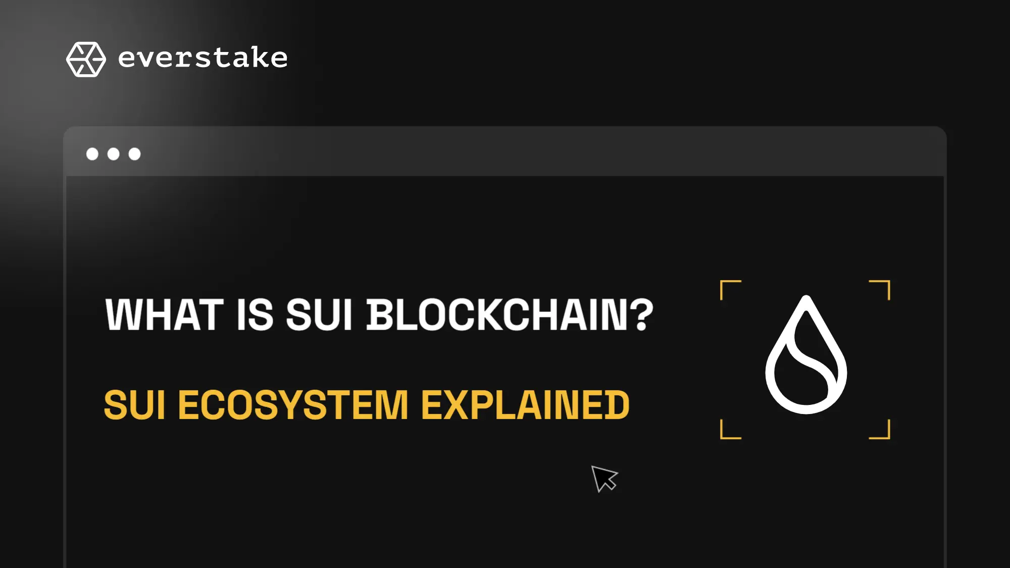 Blog | What is Sui Blockchain - Sui Ecosystem Explained