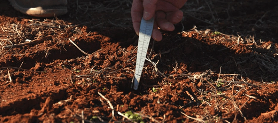 The Connection Between Organic Carbon And Soil Health
