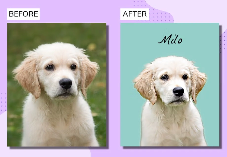 DIY Holiday Arts & Crafts For Dogs and Dog Lovers - Pawrade.com