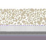Purple-Roof's Green Roof Construction Specifications
