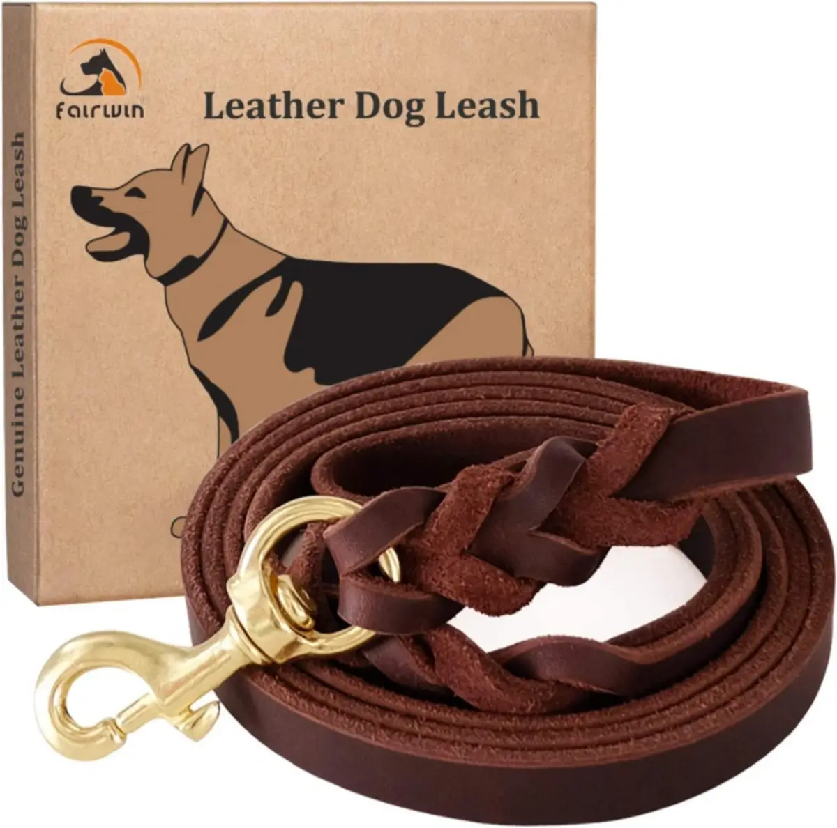 The 6 Best Leashes to Walk Your Puppy - Pawrade.com