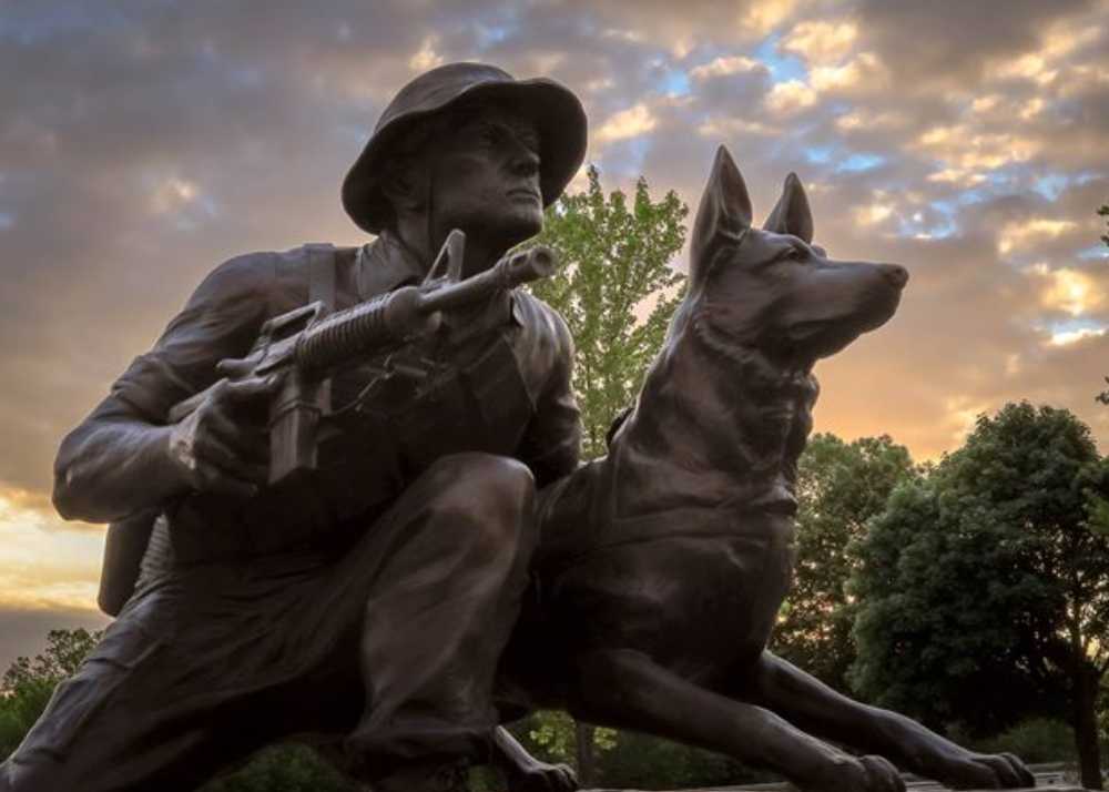 In Memoriam: Remembering Fallen Dogs of Courage - Pawrade.com