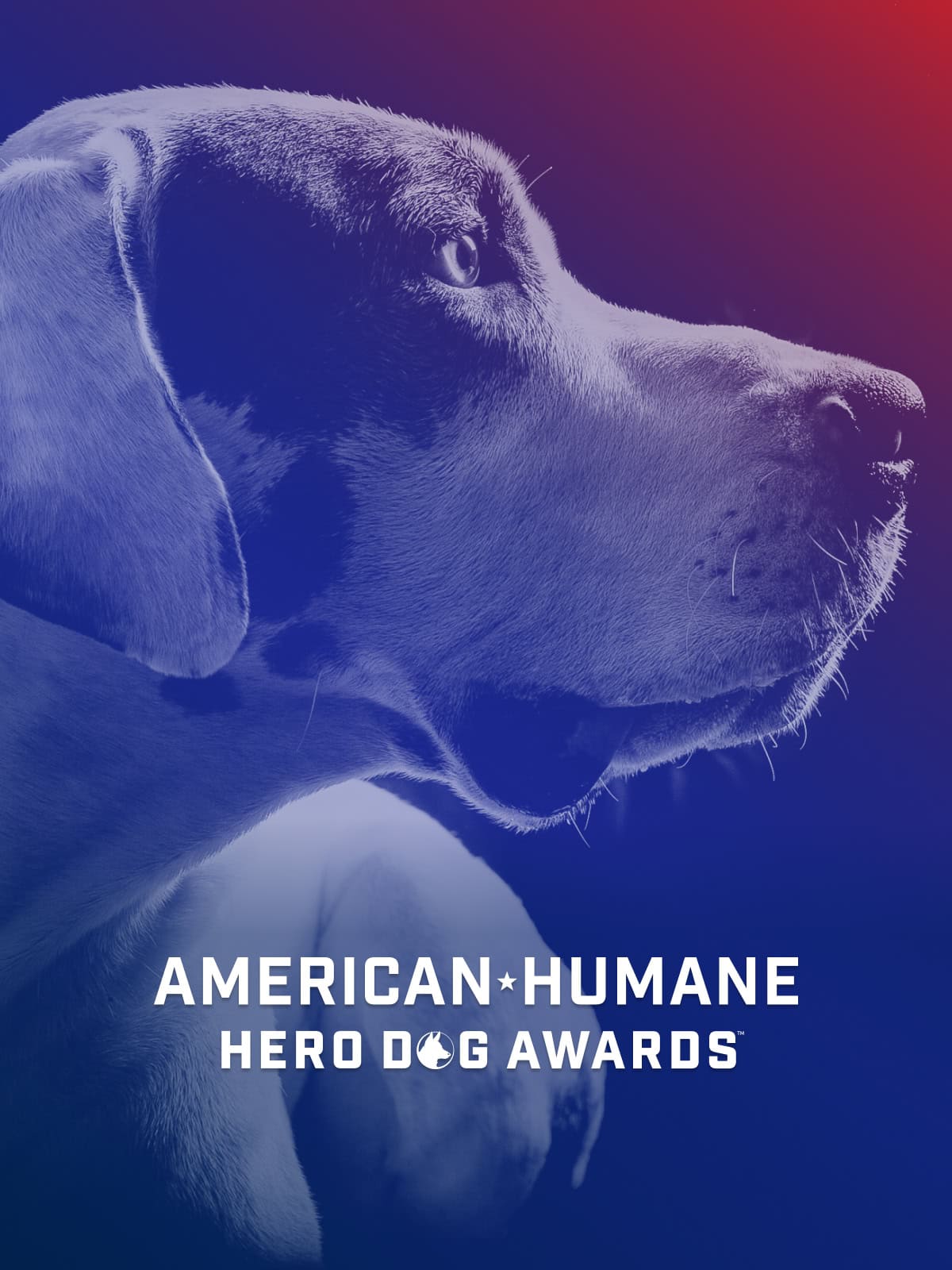 Hero Dogs of 2025 - Pawrade.com