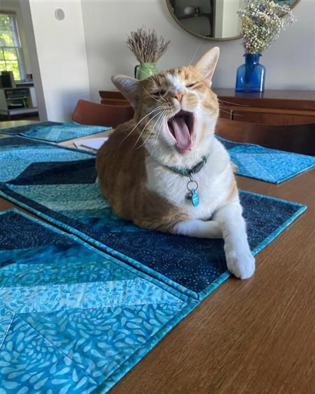 Connecting Threads - Exclusive Quilting Fabric, Thread, Kits, Patterns ...