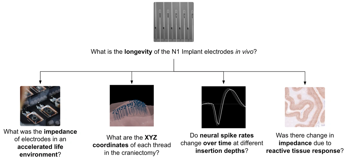 datarepo - Neuralink's platform for complex data | Updates | Neuralink