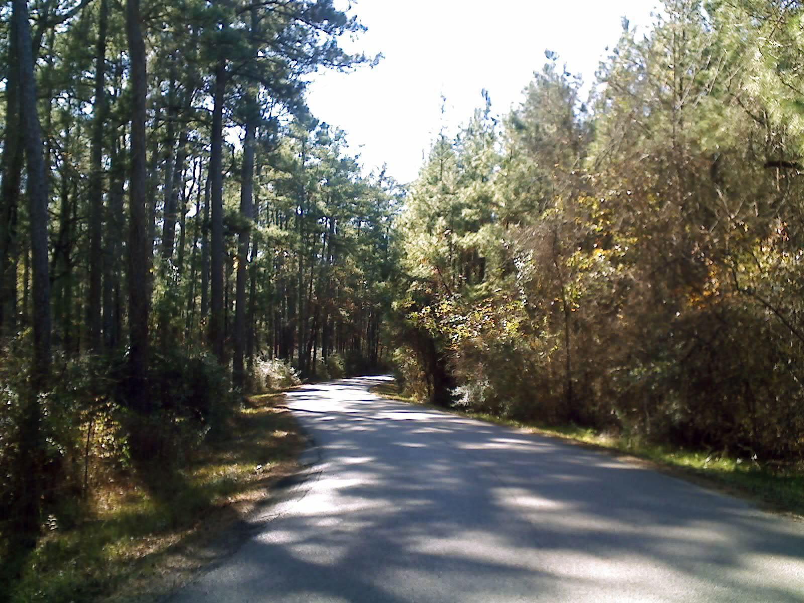 Motorcycle Rental in Houston Texas: BMW, Harley, Ducati | Twisted Road