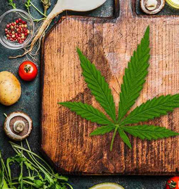 MAMA'S GANJA | Find Dispensaries and Learn About Marijuana