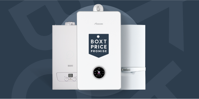 What do you get with BOXT?