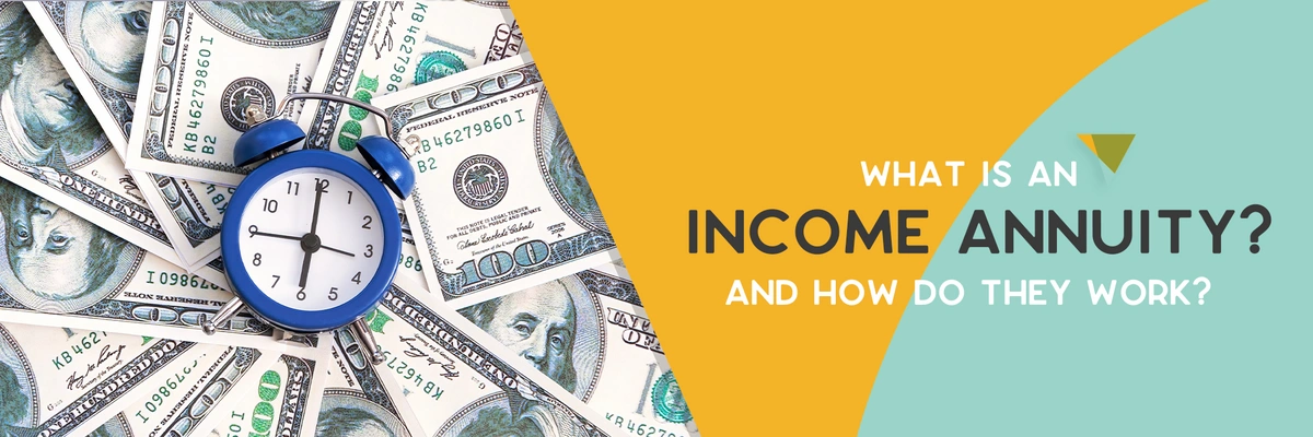 What is an Income Annuity and How Do They Work?