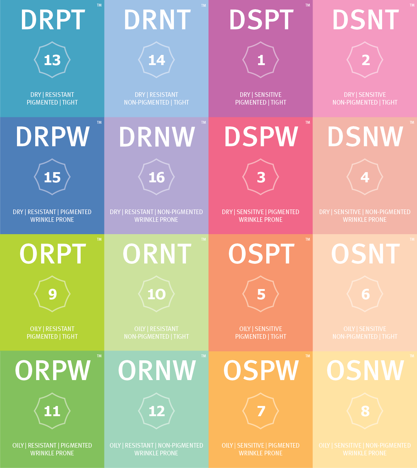 16 Baumann Skin Types