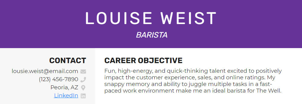 50+ Resume Objective Examples for Your Career in 2022