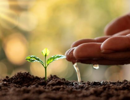 Développement durable : définition, enjeux et objectifs | Alpiq