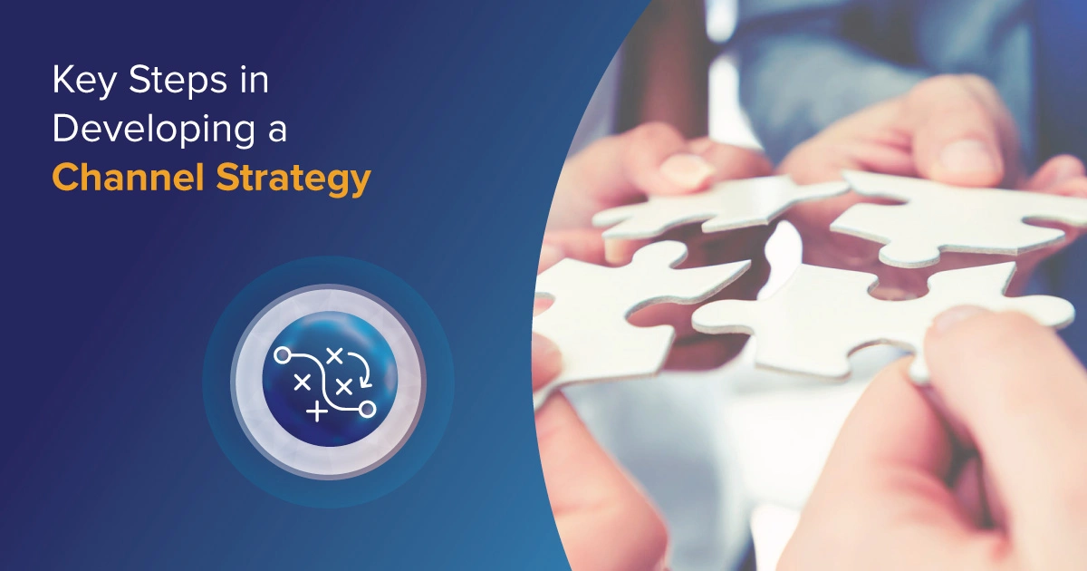 Key Steps in Developing a Channel Strategy - Vistex, Inc