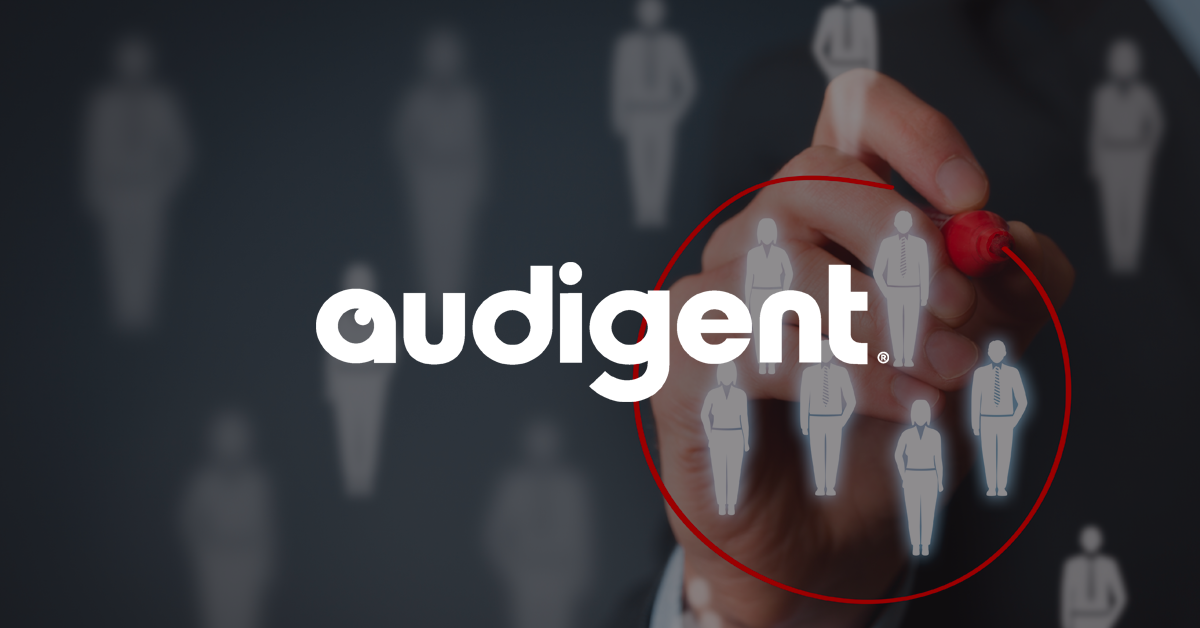 Custom Audience Segments Drive Better Performance | Audigent | The ...