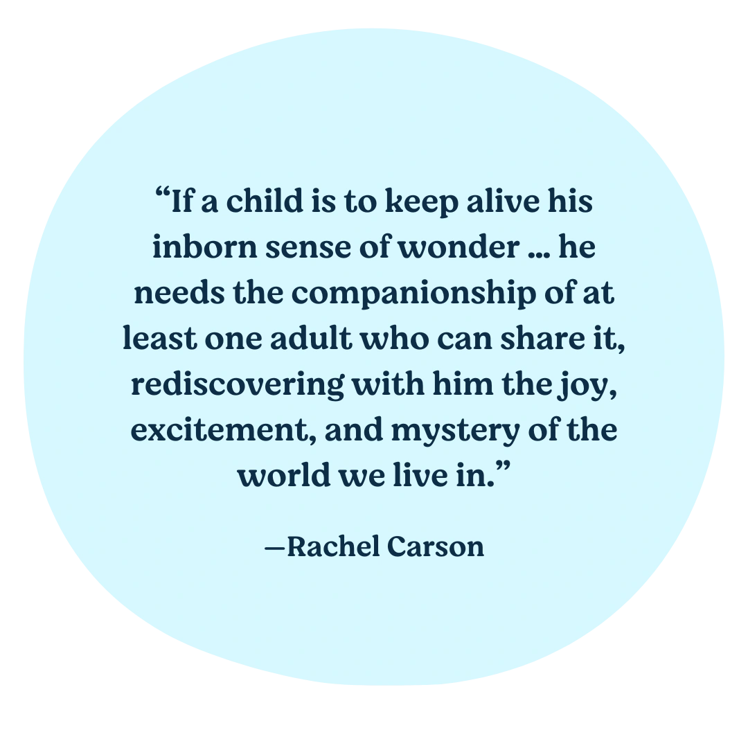 Why I'm Anchoring My Parenting and Teaching On "Wonder" This Fall