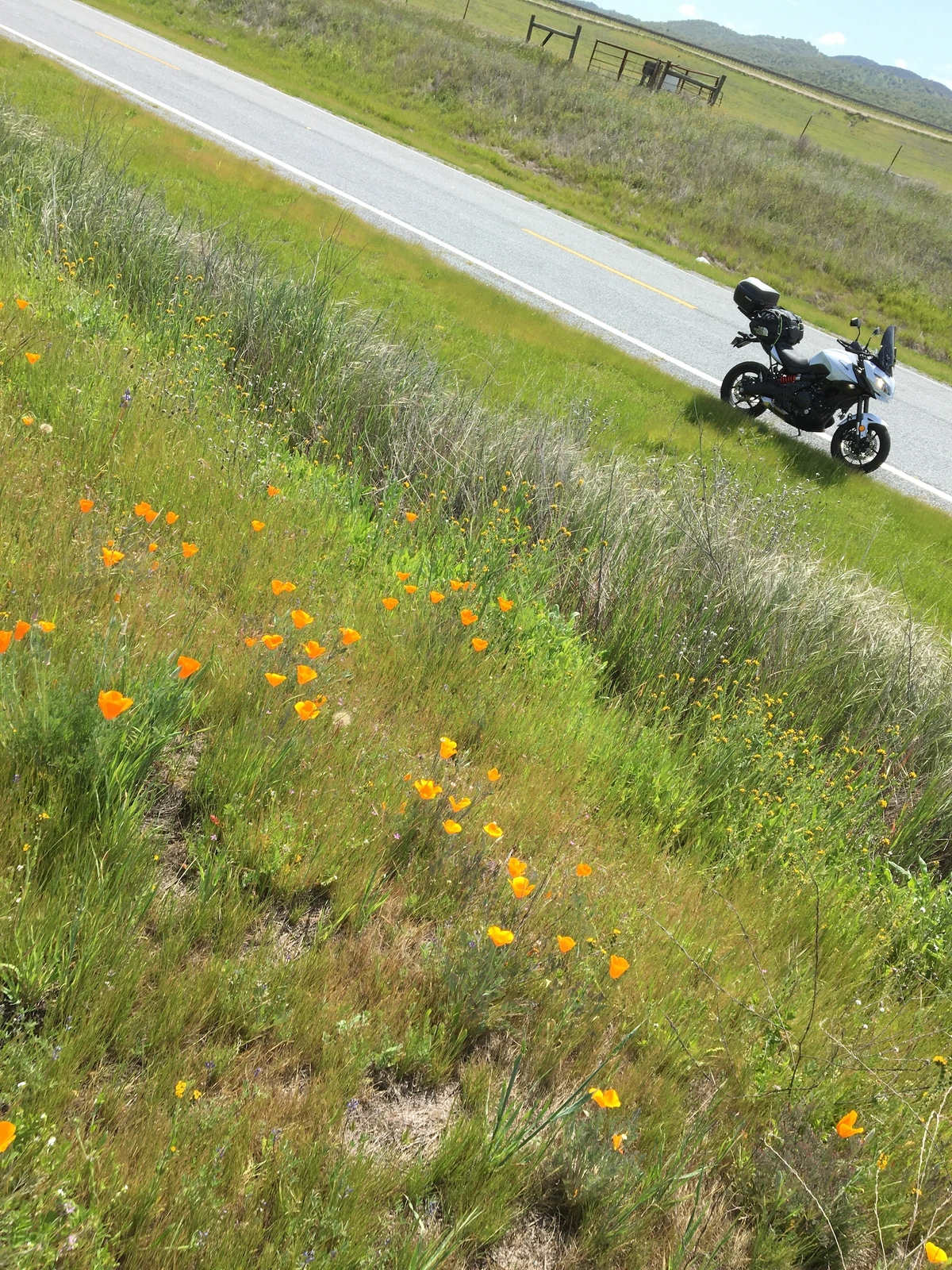 How to Be a Motorcycle Rental Superhost: Ari Henning Interview