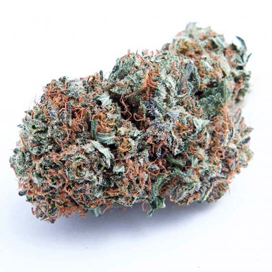 Pure Kush Strain Profile | MAMA'S GANJA Pure Kush Strain Profile | MAMA'S GANJA