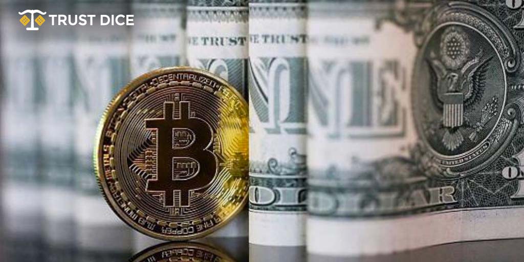 Bitcoin vs Dólar: ¿Es mejor ahorrar en criptomonedas?