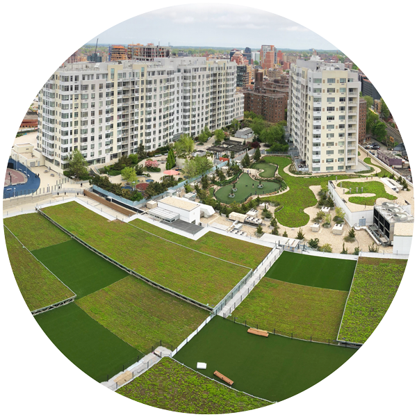 extensive green roof over parking garage in Flushing, Queens, New York ...