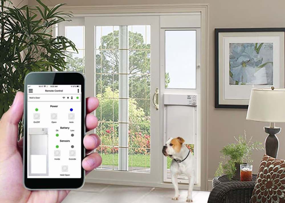 The Best High-Tech Gadgets For Dogs & Dog Lovers in 2024 - Pawrade.com