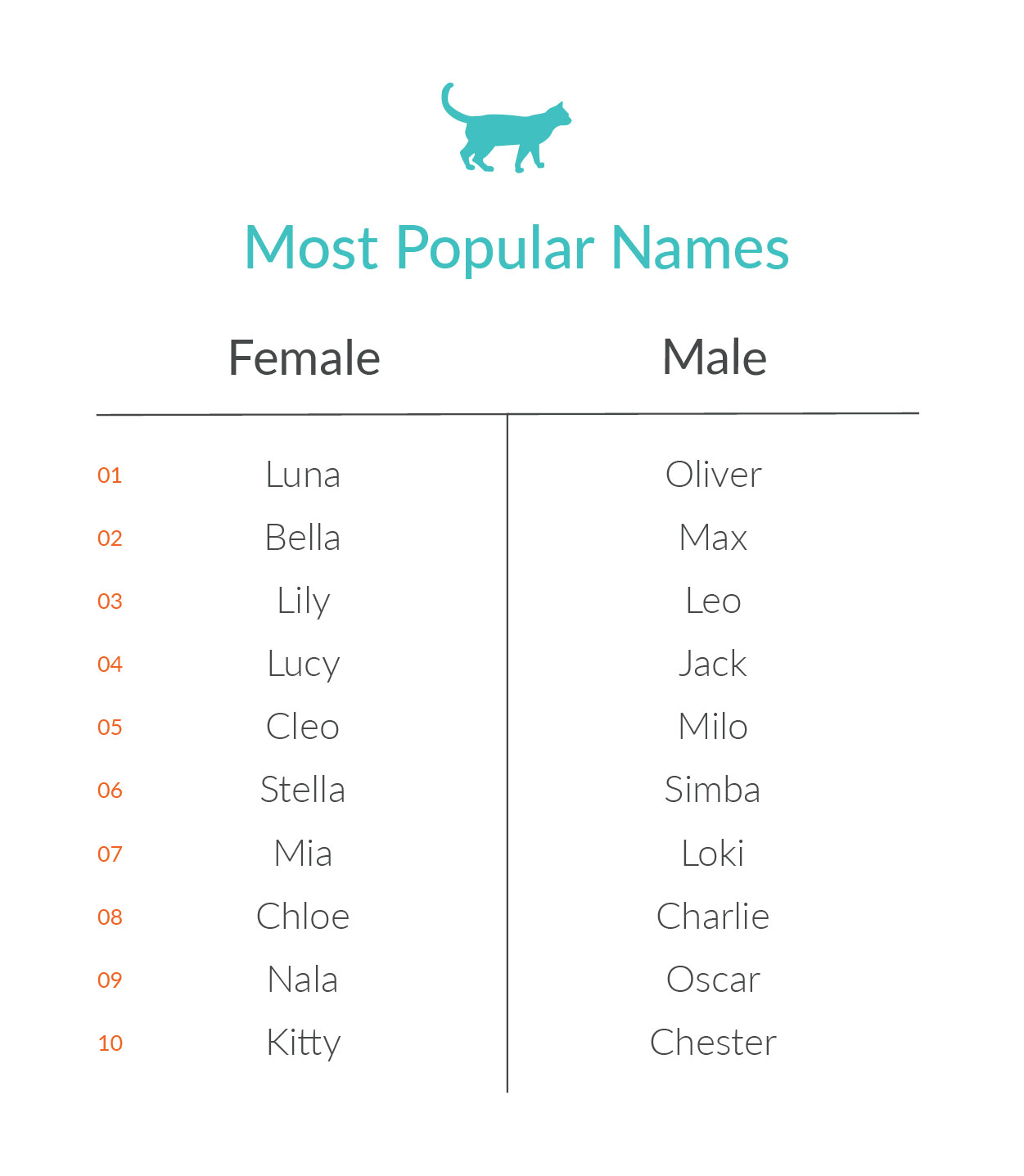 What Are The Most Common Pet Names Nom Nom