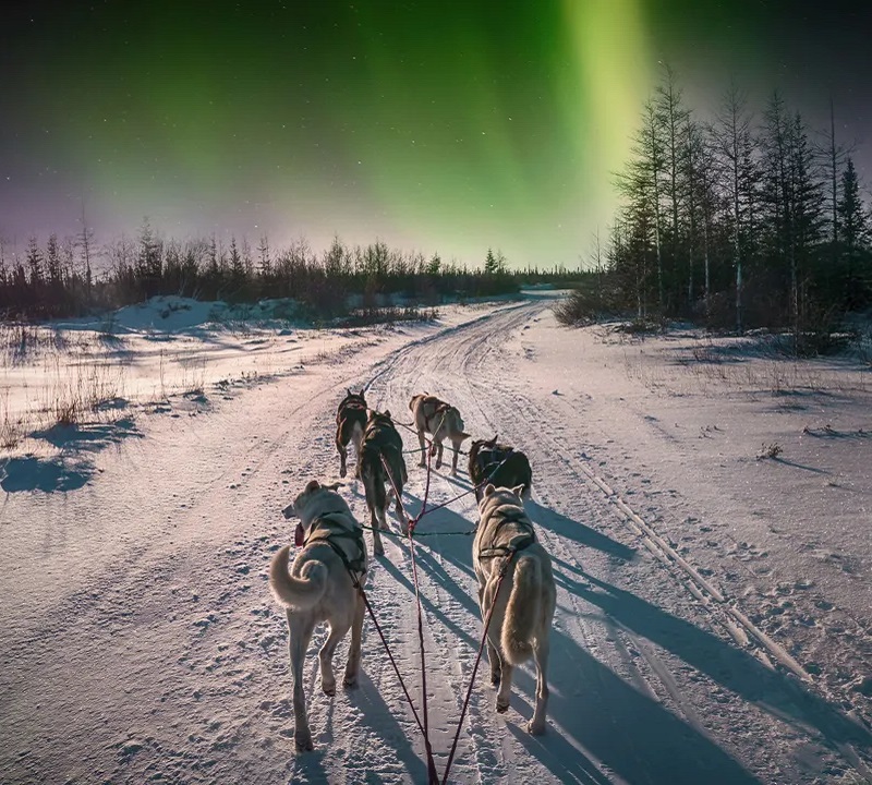 Aventures au cœur de la Laponie finlandaise - Odysway