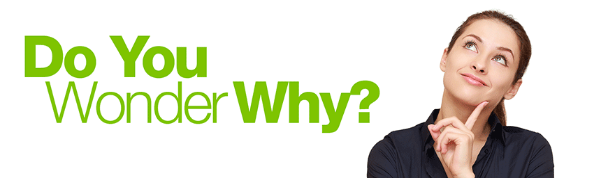 Do You Wonder Why? - Sonny's Enterprises