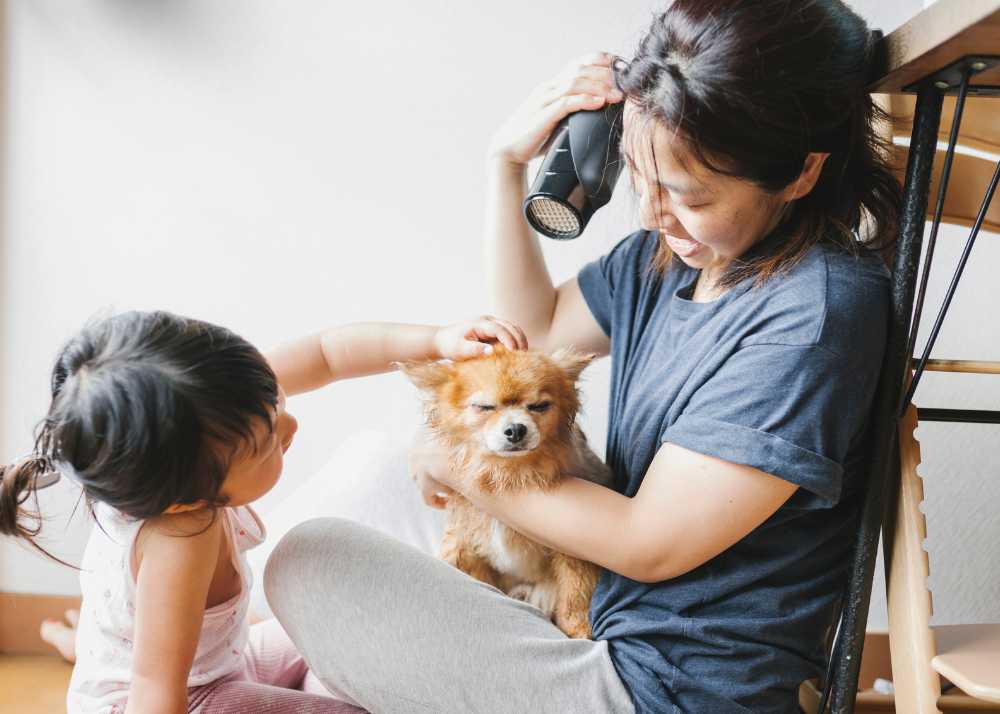 Rub-a-Dub-Dub: How to Bathe Your Puppy - Pawrade.com