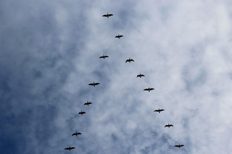 7 Data Migration Best Practices | Integrate.io