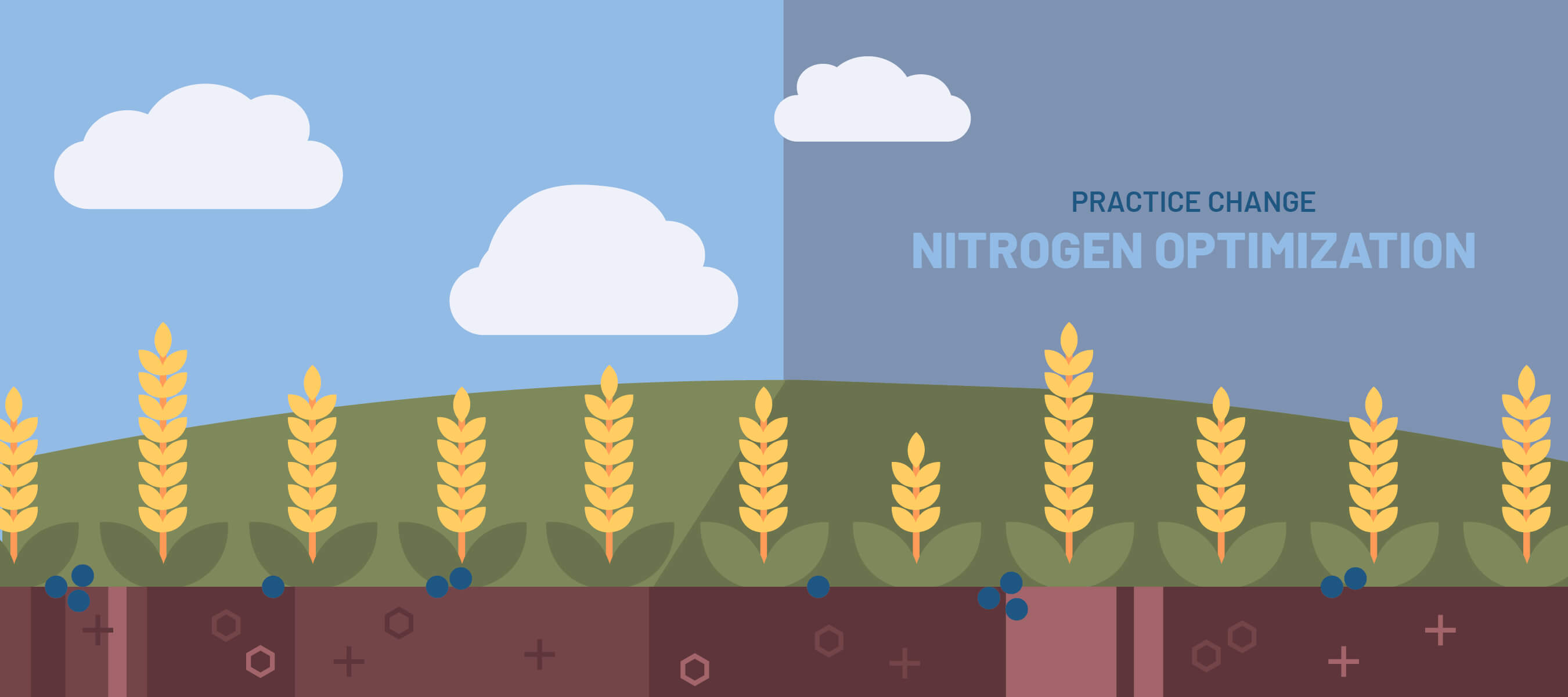 Practice Change Nitrogen