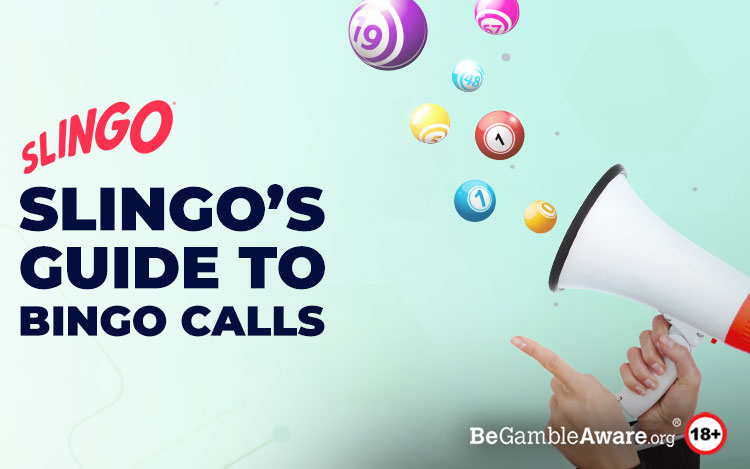 Bingo Lingo: A Complete List of Bingo Calls | Slingo Blog