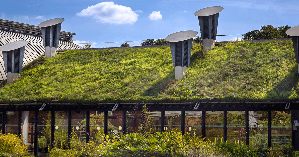 Are Green Roofs Nature-Based Solutions?