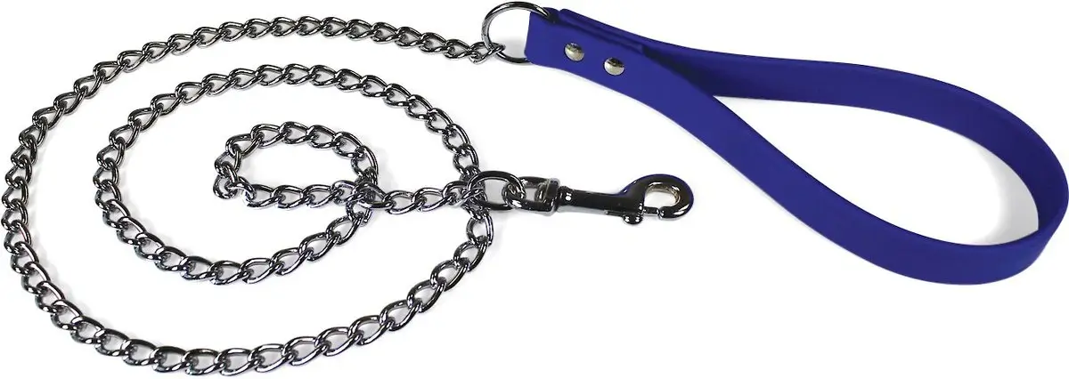 The 6 Best Leashes to Walk Your Puppy - Pawrade.com