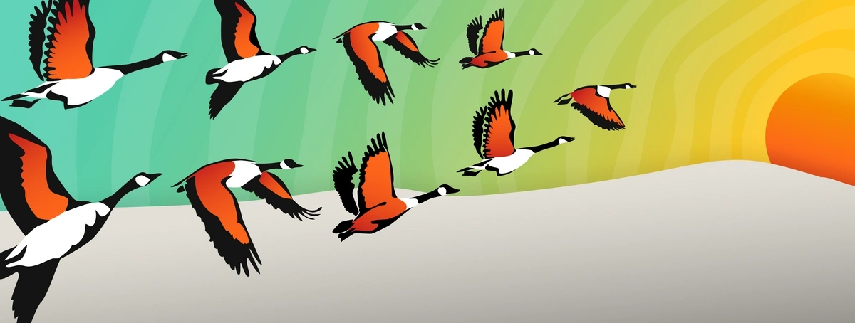 EleV Podcasts | Mastercard Foundation