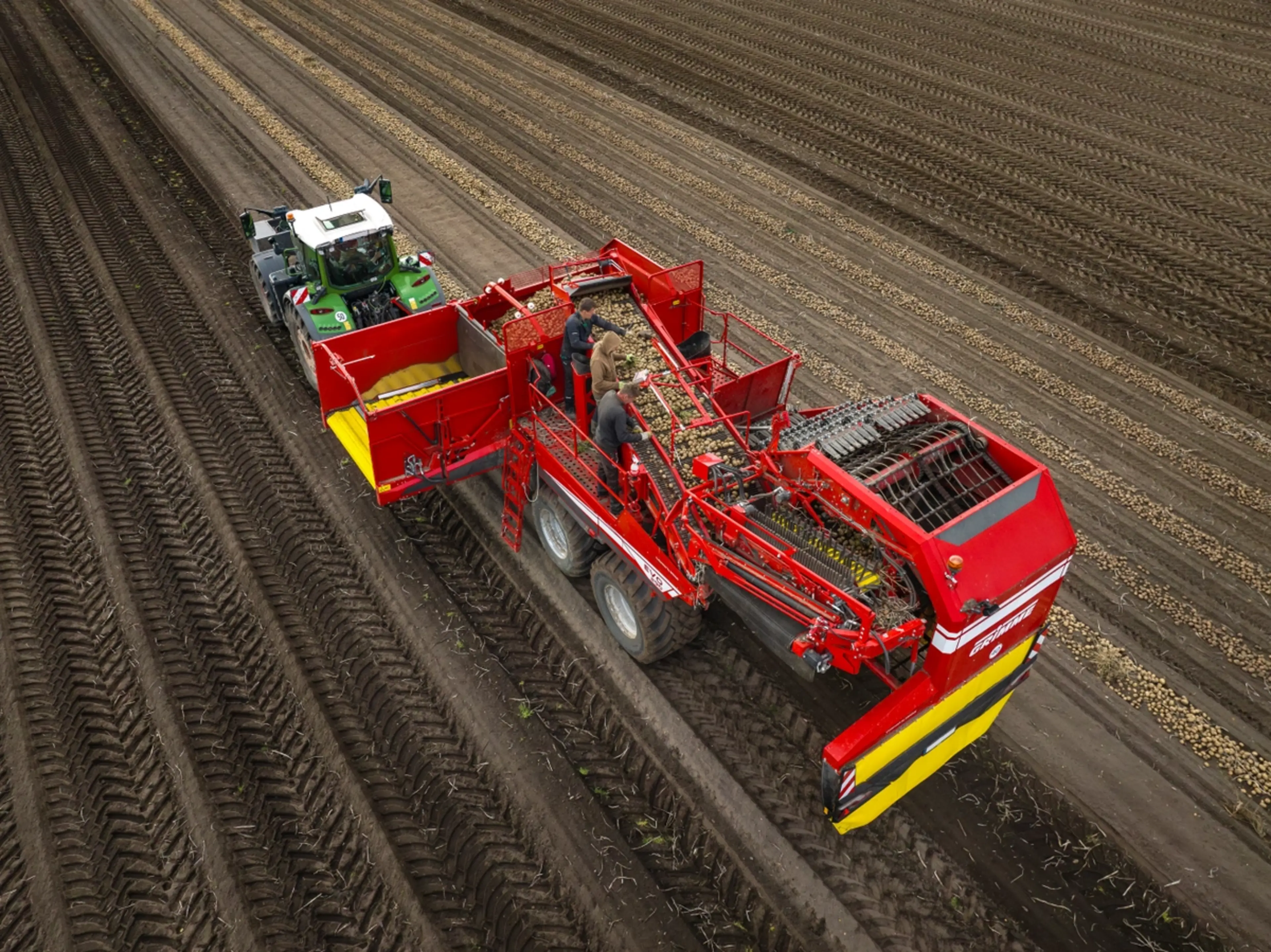 GRIMME | Tecnologia para batata, beterraba e legumes