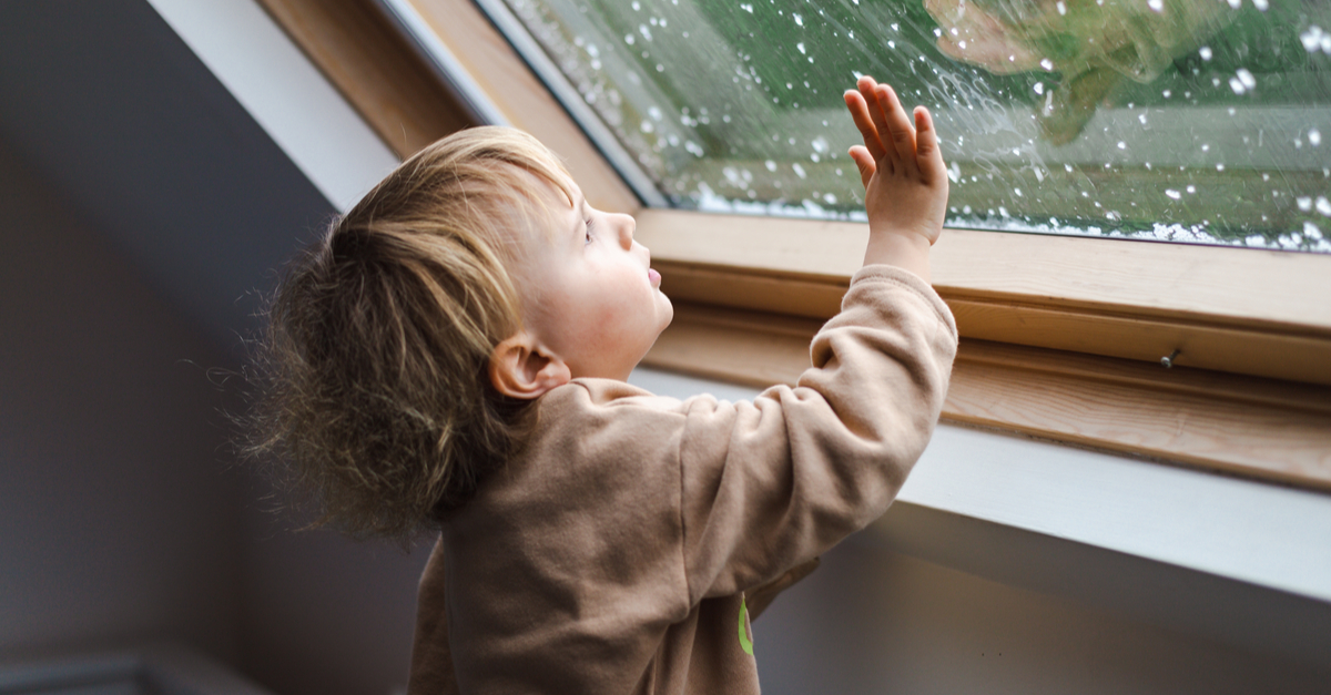 COA, HOA and Landlord Insurance Guides | Honeycomb Insurance