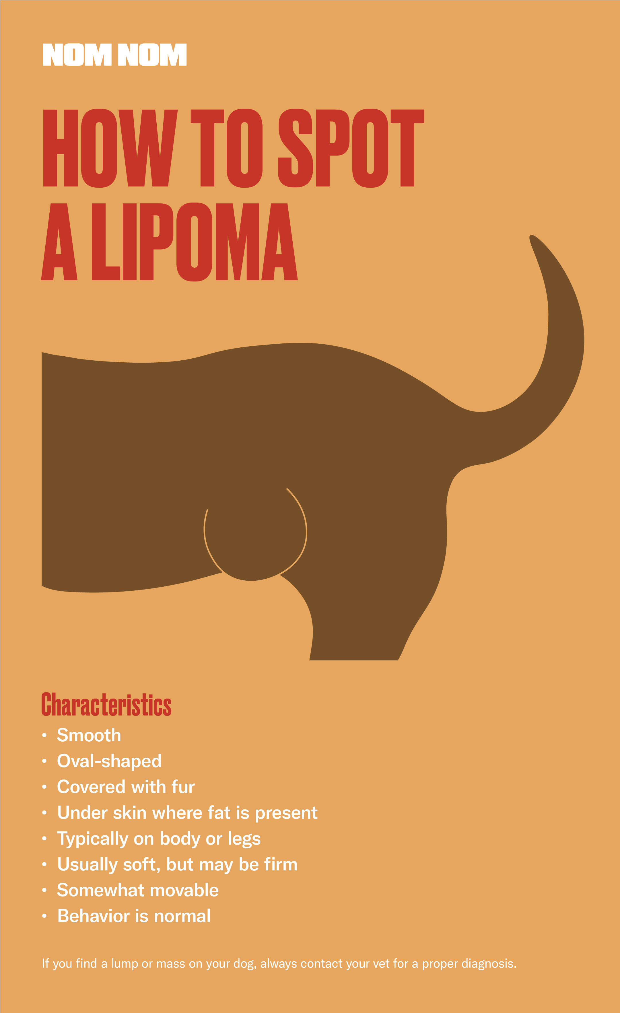 What Do Lipomas Look Like On Dogs