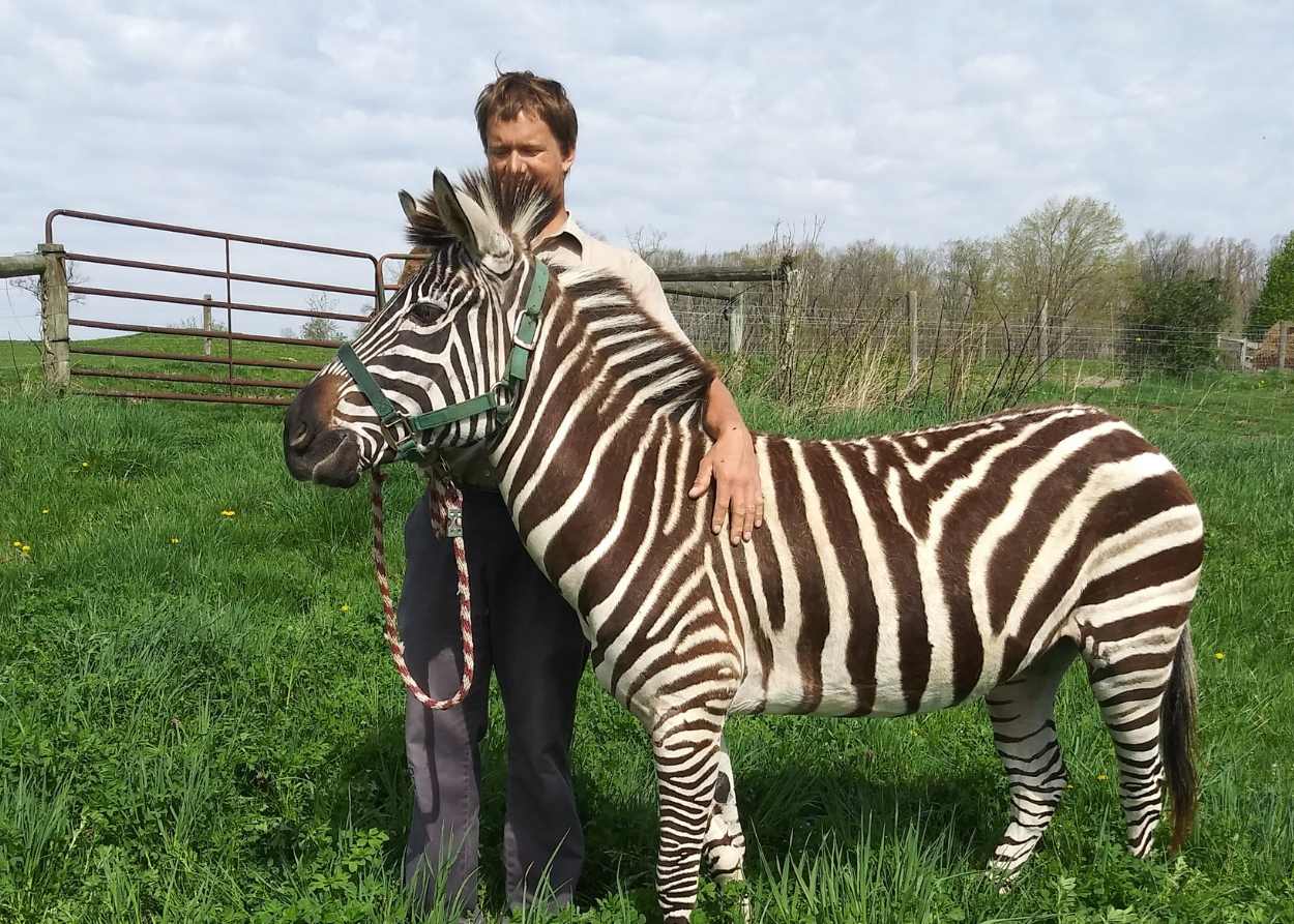 Spotlight on Pawrade Puppy Breeder Dave - Pawrade.com