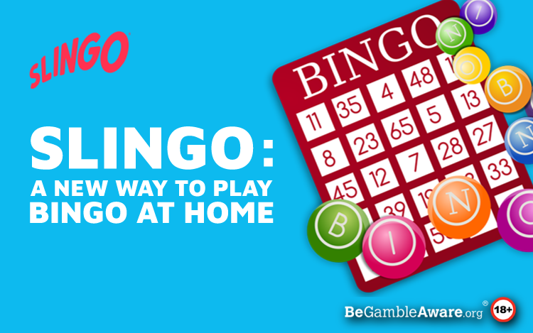 Slingo: A New Way to Play Bingo at Home