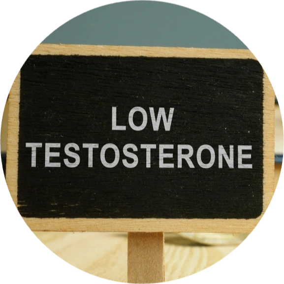 Rex Md Erectile Dysfunction
