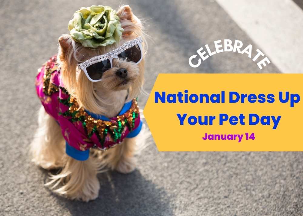 Strut Down The Runway With Your Puppy on National Dress Up Your Pet Day ...