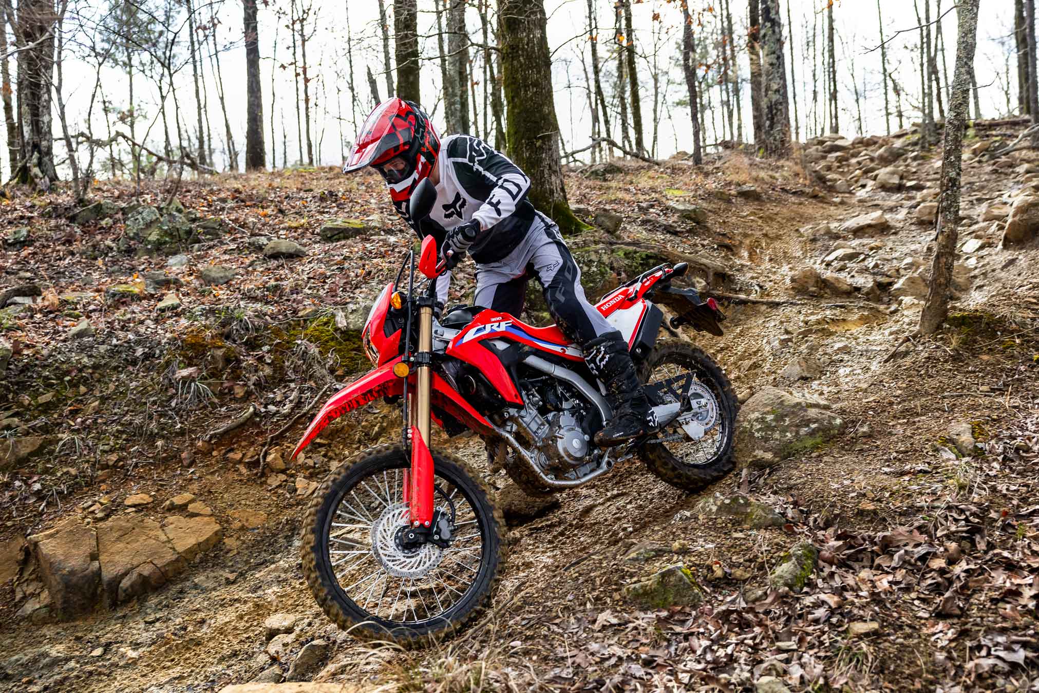 Modern Adventure Bikes: What's Best in the Heavyweight, Midweight, and ...
