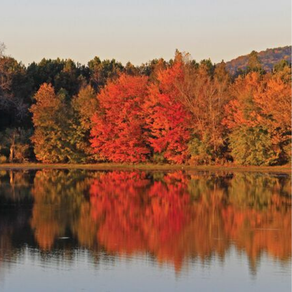 Sweet Home Alabama | Alabama Travel